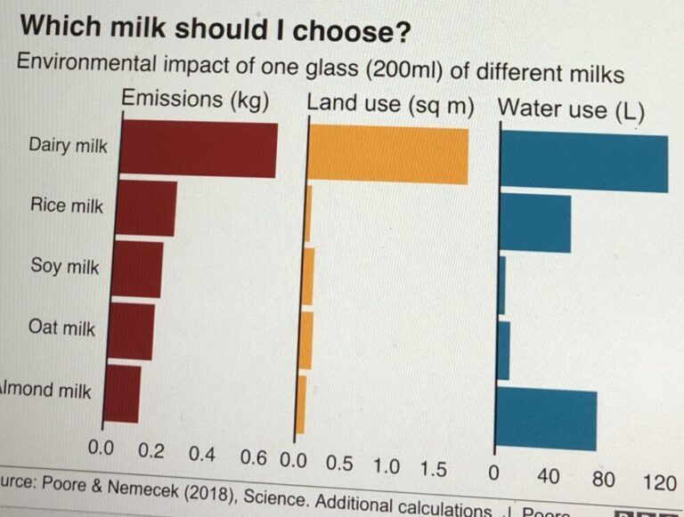 KEHS Goes Green: Sustainability Society - King Edward's High School for ...